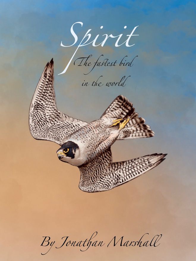 jonathan marshall shows