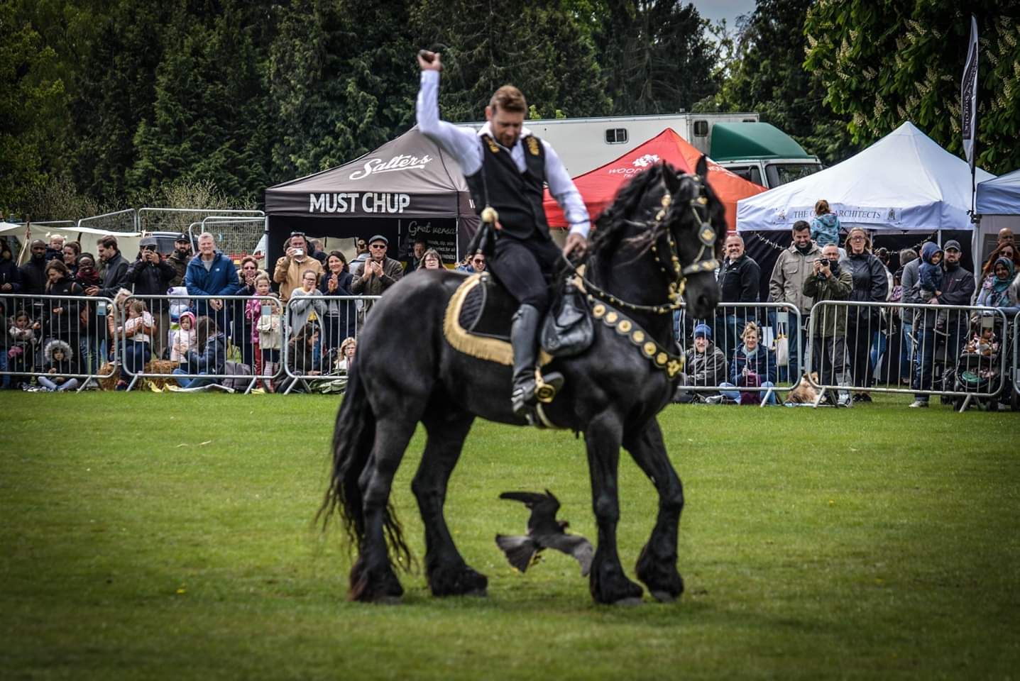 jonathan marshall shows - Photos