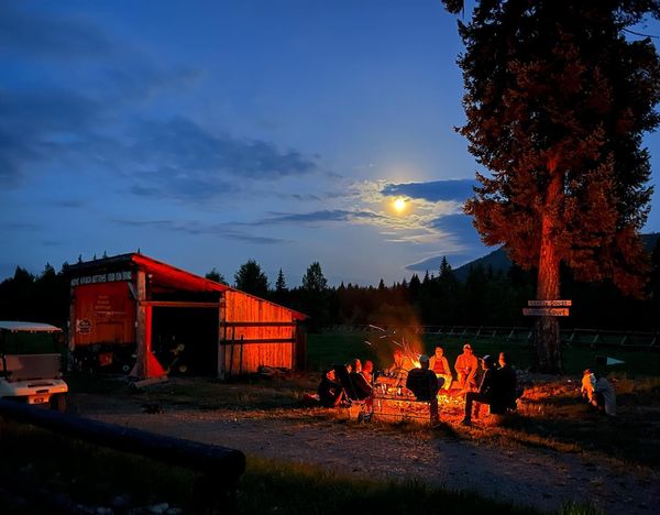 tomcatmull.com - Shows