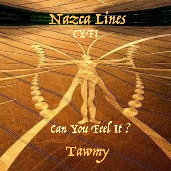 TawmY - Nazca Lines