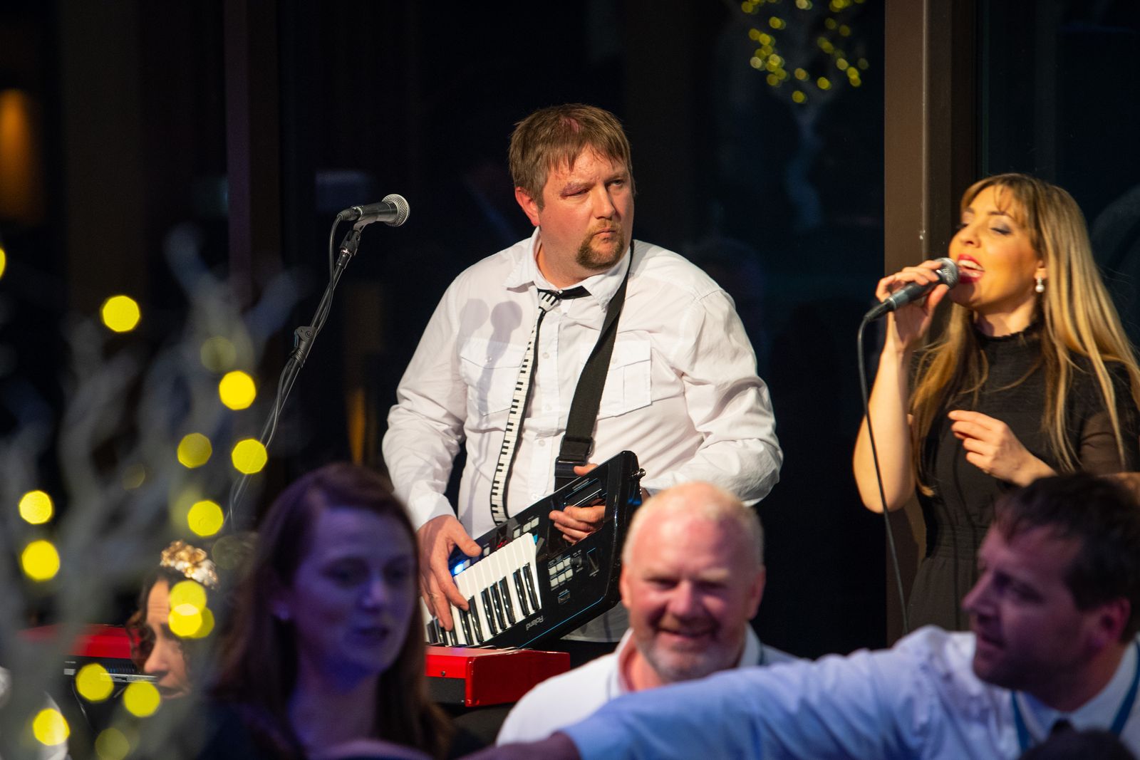 Mojo Band - Queenstown's Best Live Music Entertainment Act