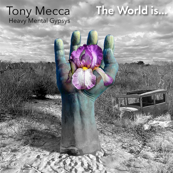 Tony Mecca - Our Store
