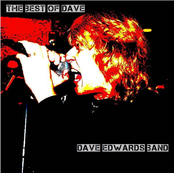 Dave Edwards and The Look/The Dave Edwards Band - Store