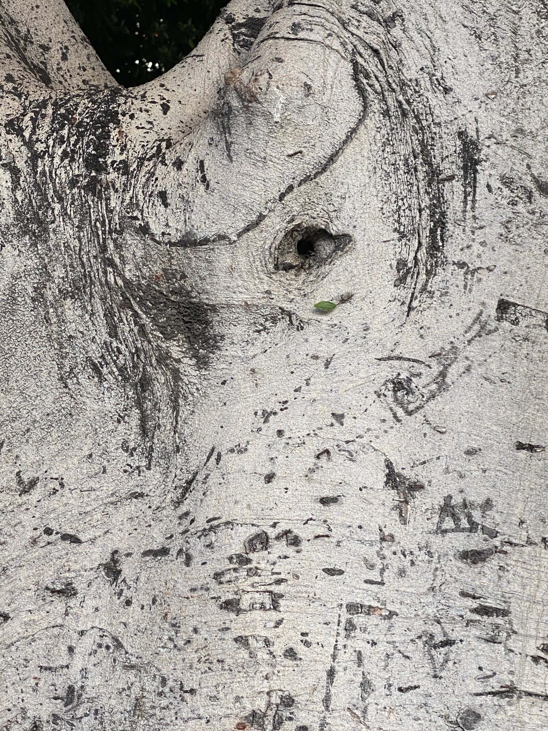 Nancy Rumbel - Recording Artist, Ocarina, Oboe & English horn ...