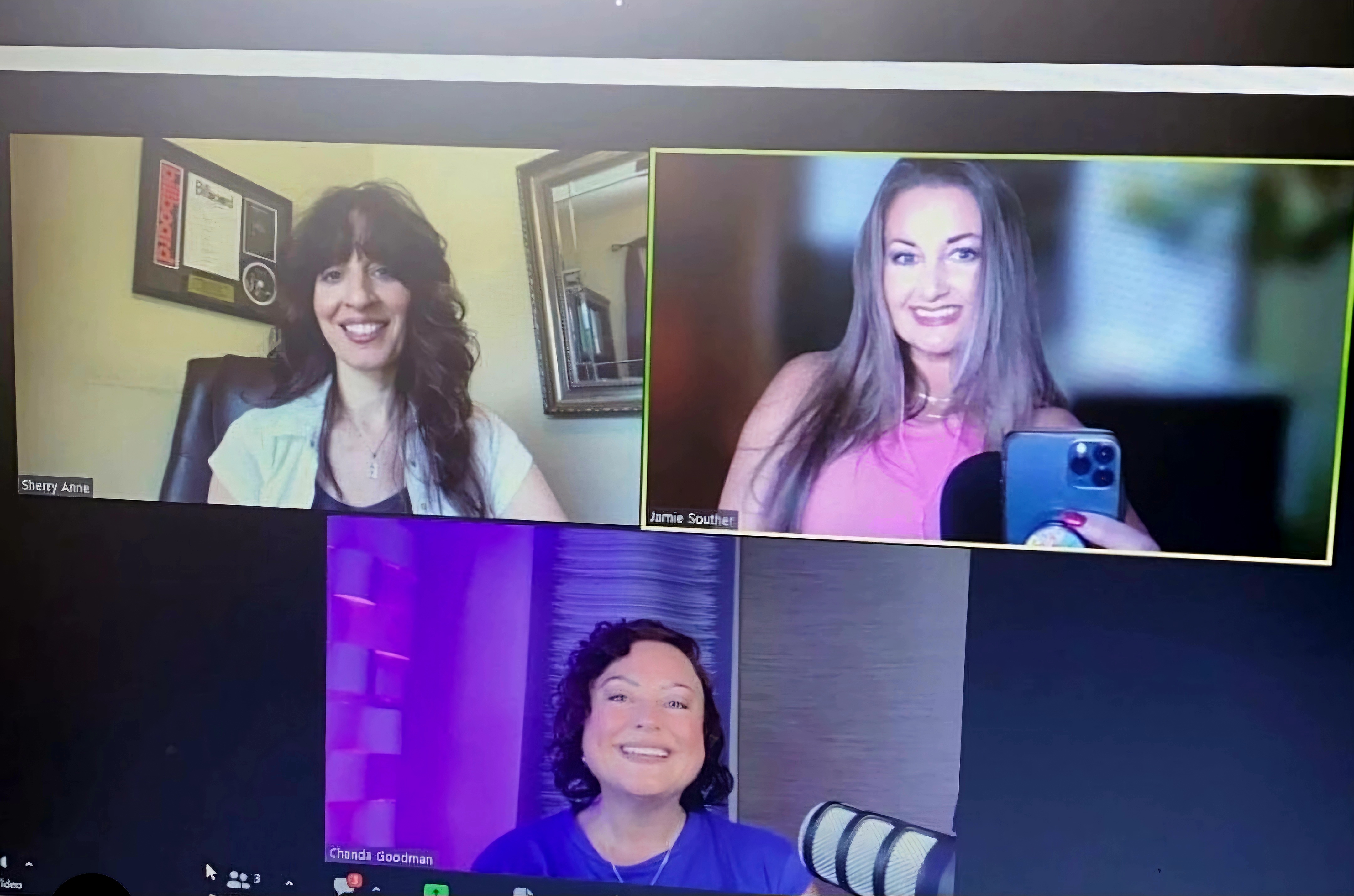 Sherry Anne Appears on "Freedom Wranglers" Podcast