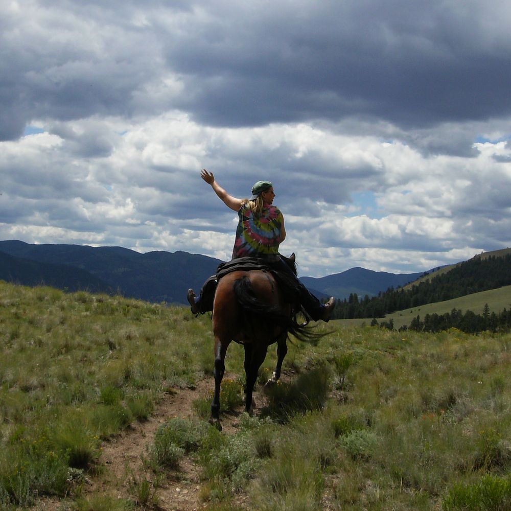 kathyhussey.com - Bio