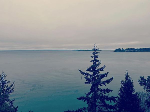 Allison Crowe and Band