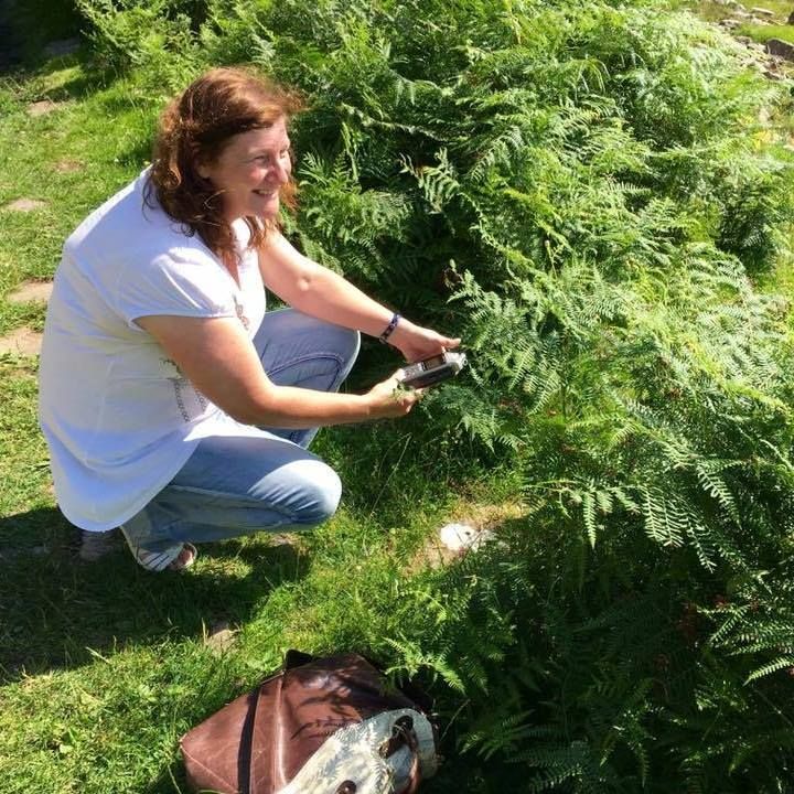 Alison Beattie - Composition and Sound Sculpture - Photos