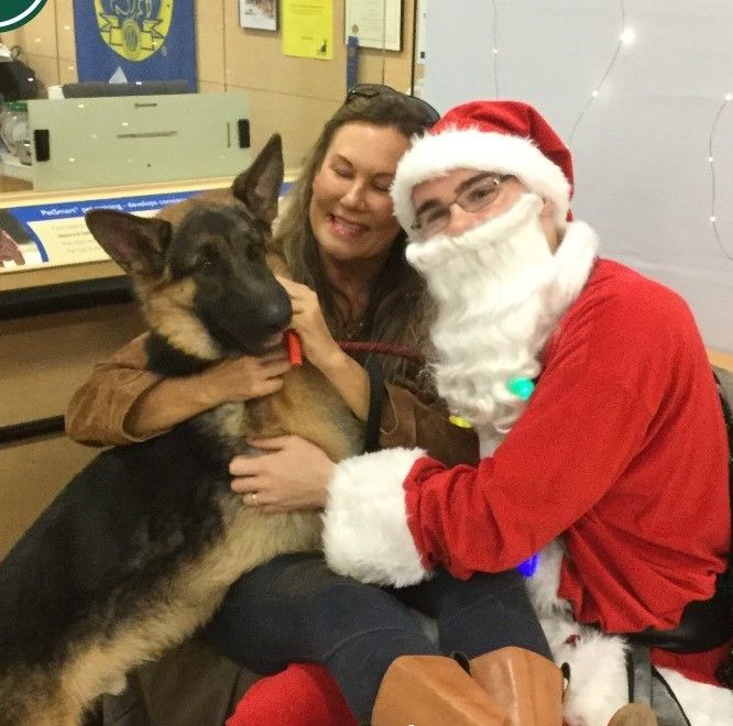 Trish Hatley - Gallery