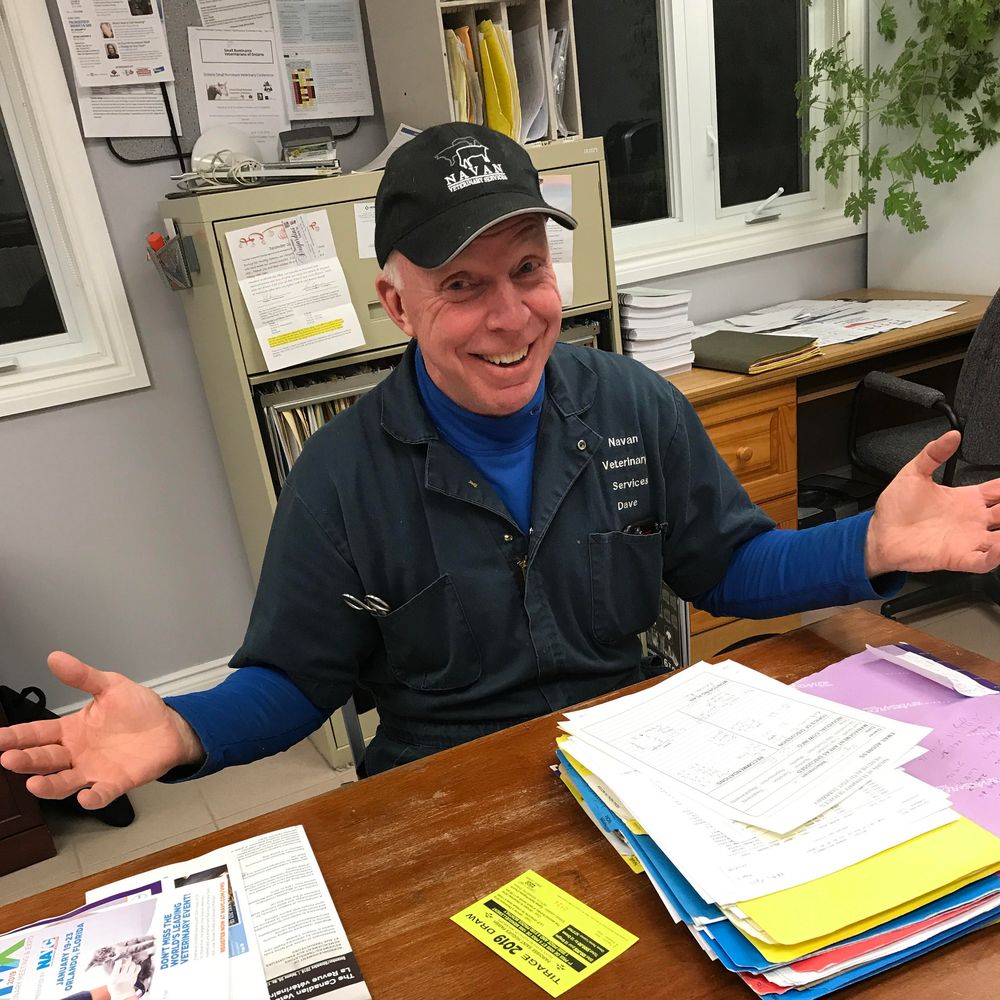 Navan Veterinary Services - Veterinarians