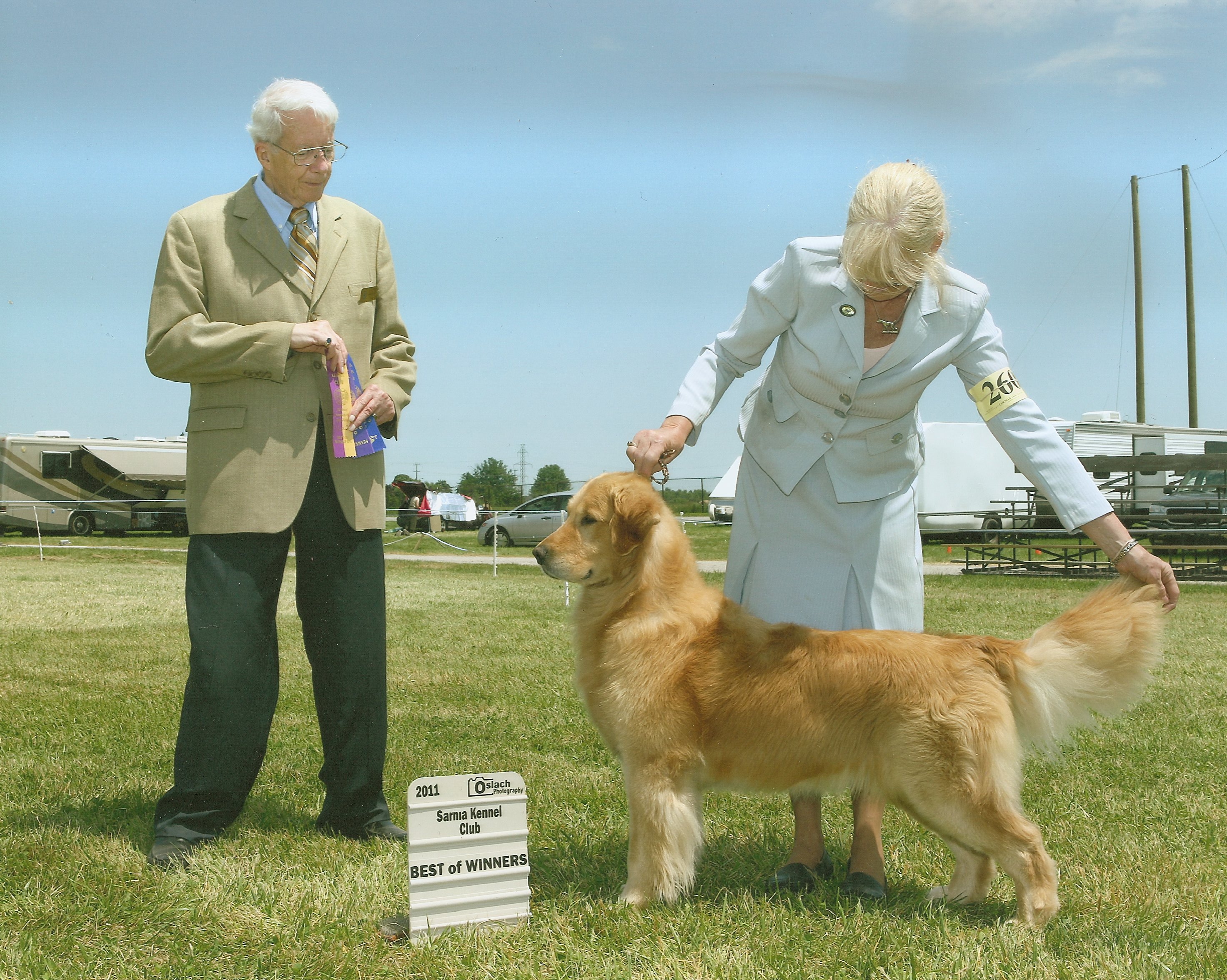 Bryeridge Goldens Retrievers - Available Puppies & Adults