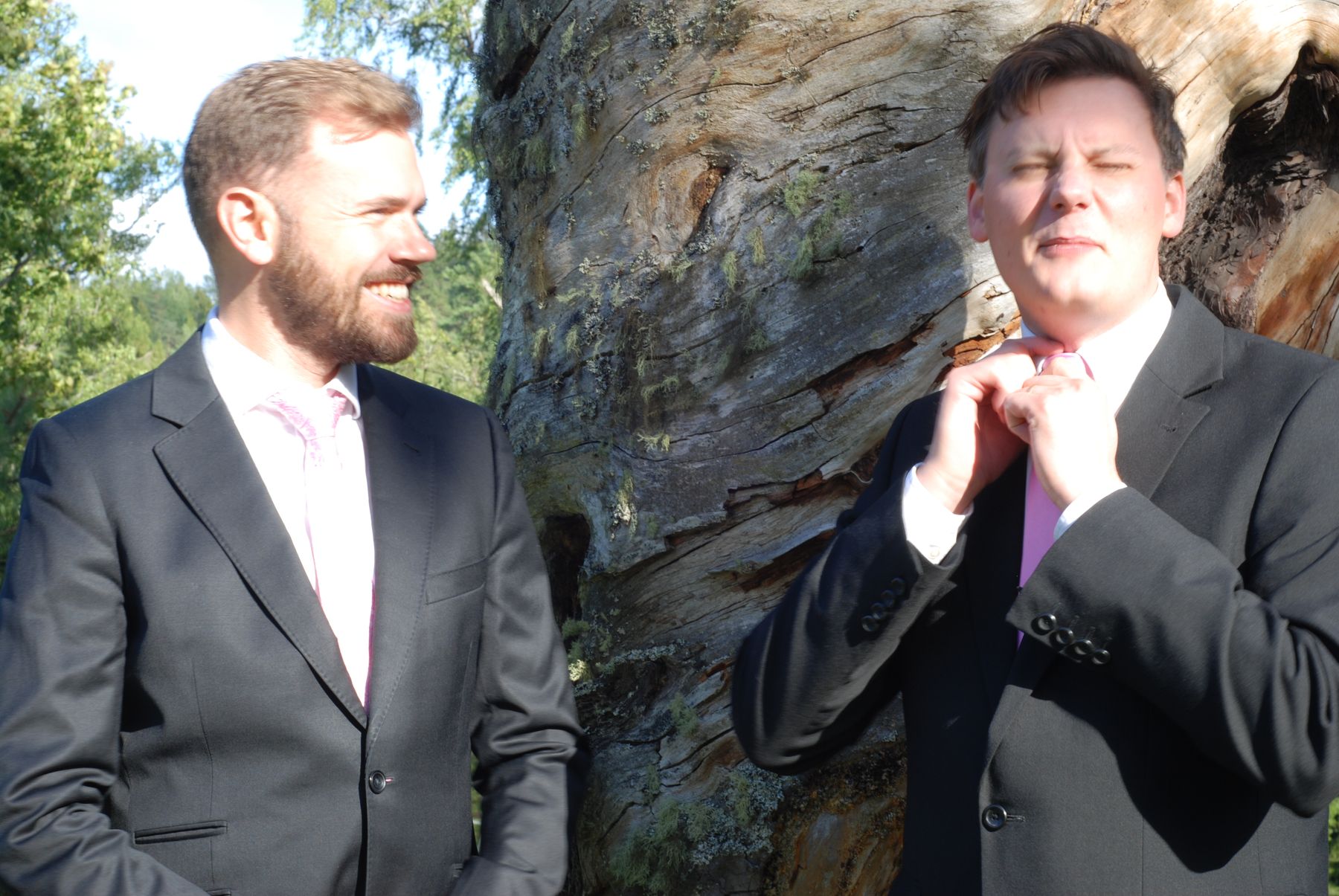 Michael Axelsson - lyric tenor - Bortglömda mästerverk - konsertprogram