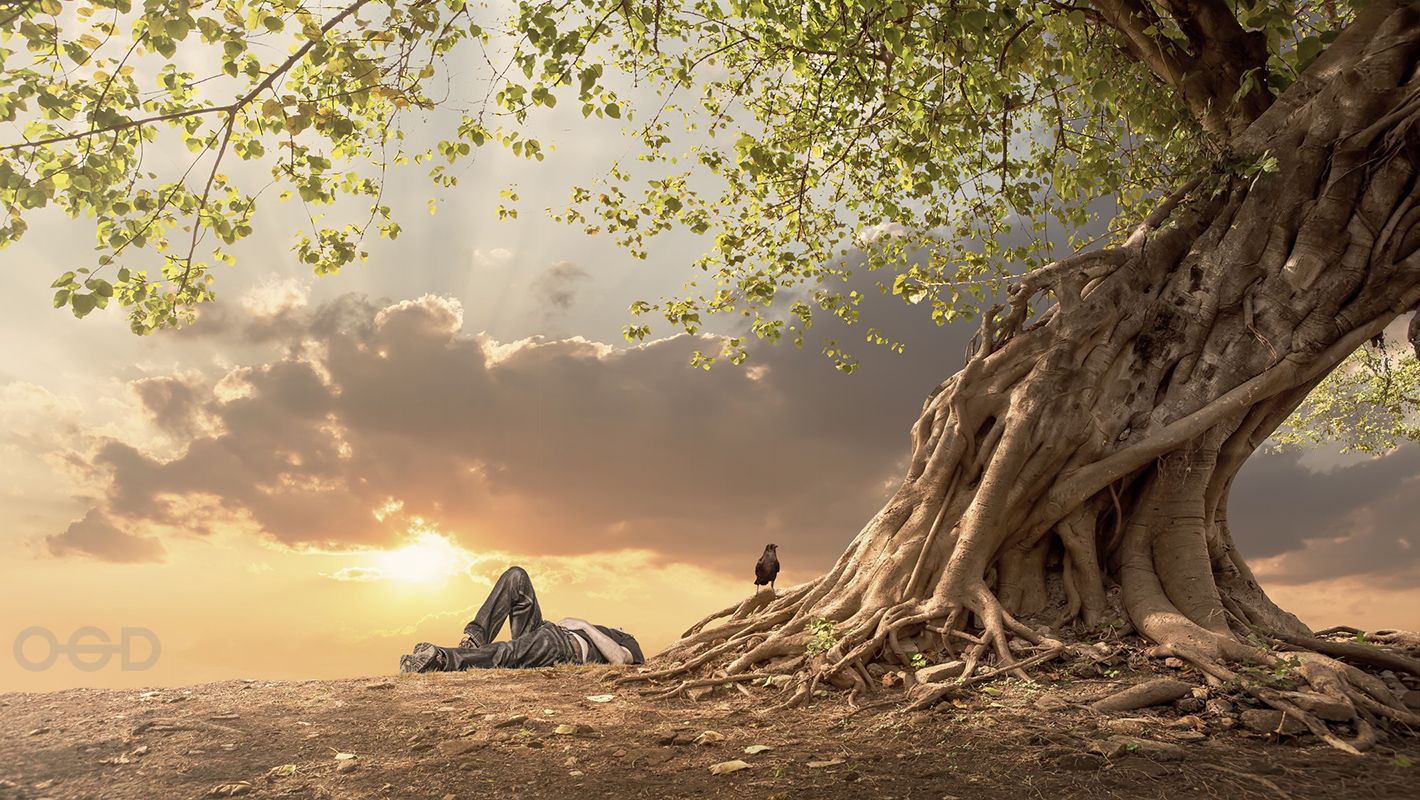 OGD - Art of Hugh Syme