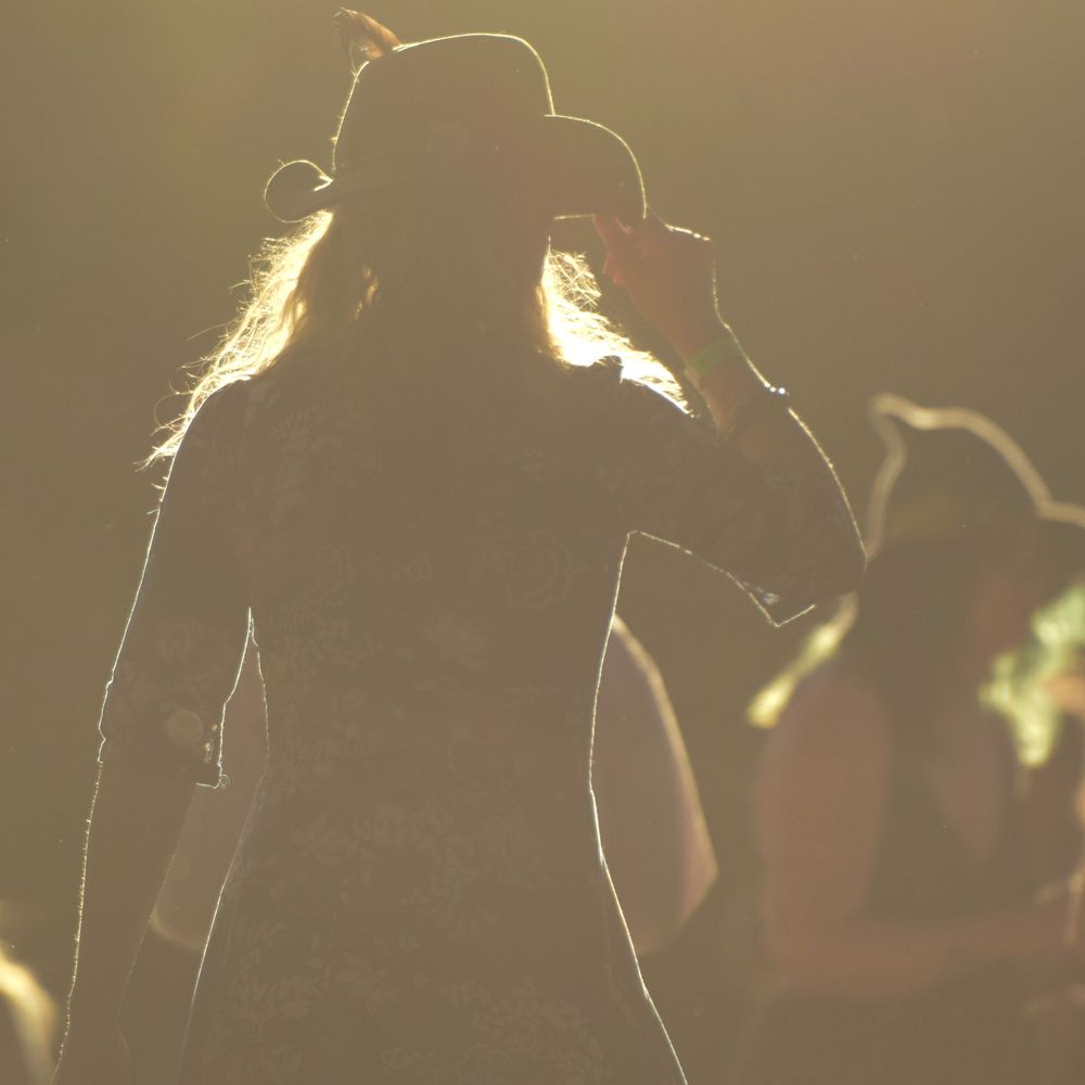 The Subdued Stringband Jamboree - Line-Up