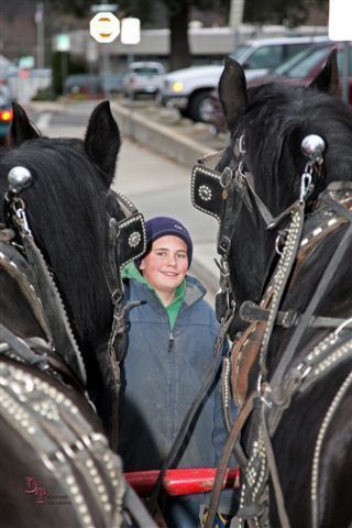 Rockin Maddy Ranch - Horse and Carriage