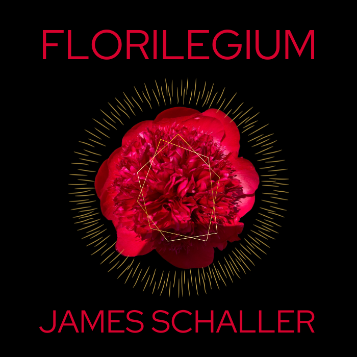 James Schaller - Music