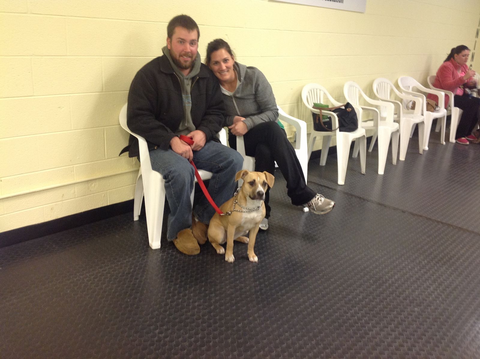 Black Dog K9 Training and Pet Services - Classes