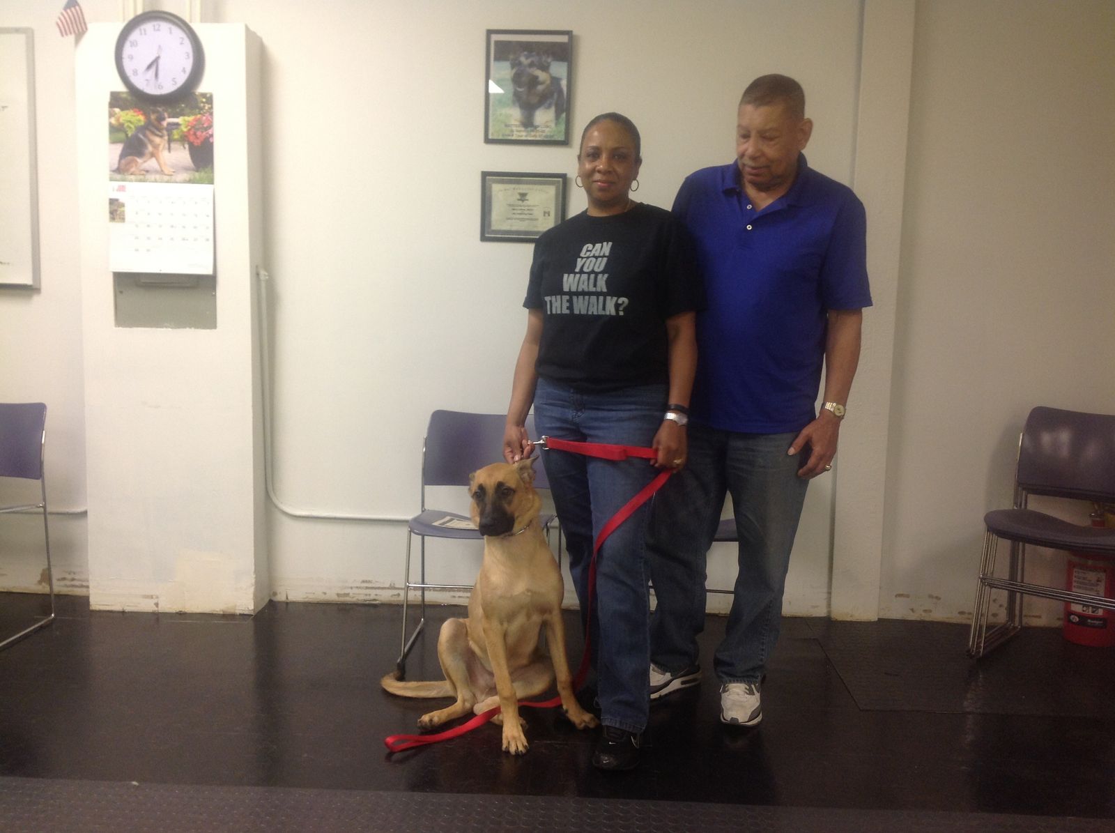 Black Dog K9 Training and Pet Services - Classes
