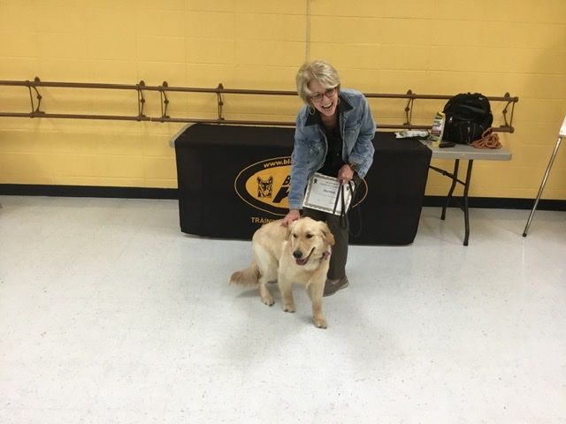 Black Dog K9 Training and Pet Services - Classes