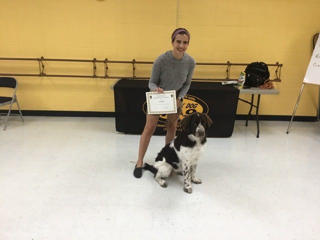 Black Dog K9 Training and Pet Services - Classes