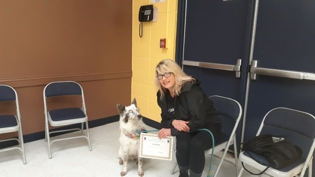 Black Dog K9 Training and Pet Services - Classes