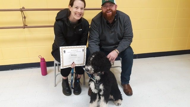 Black Dog K9 Training and Pet Services - Classes