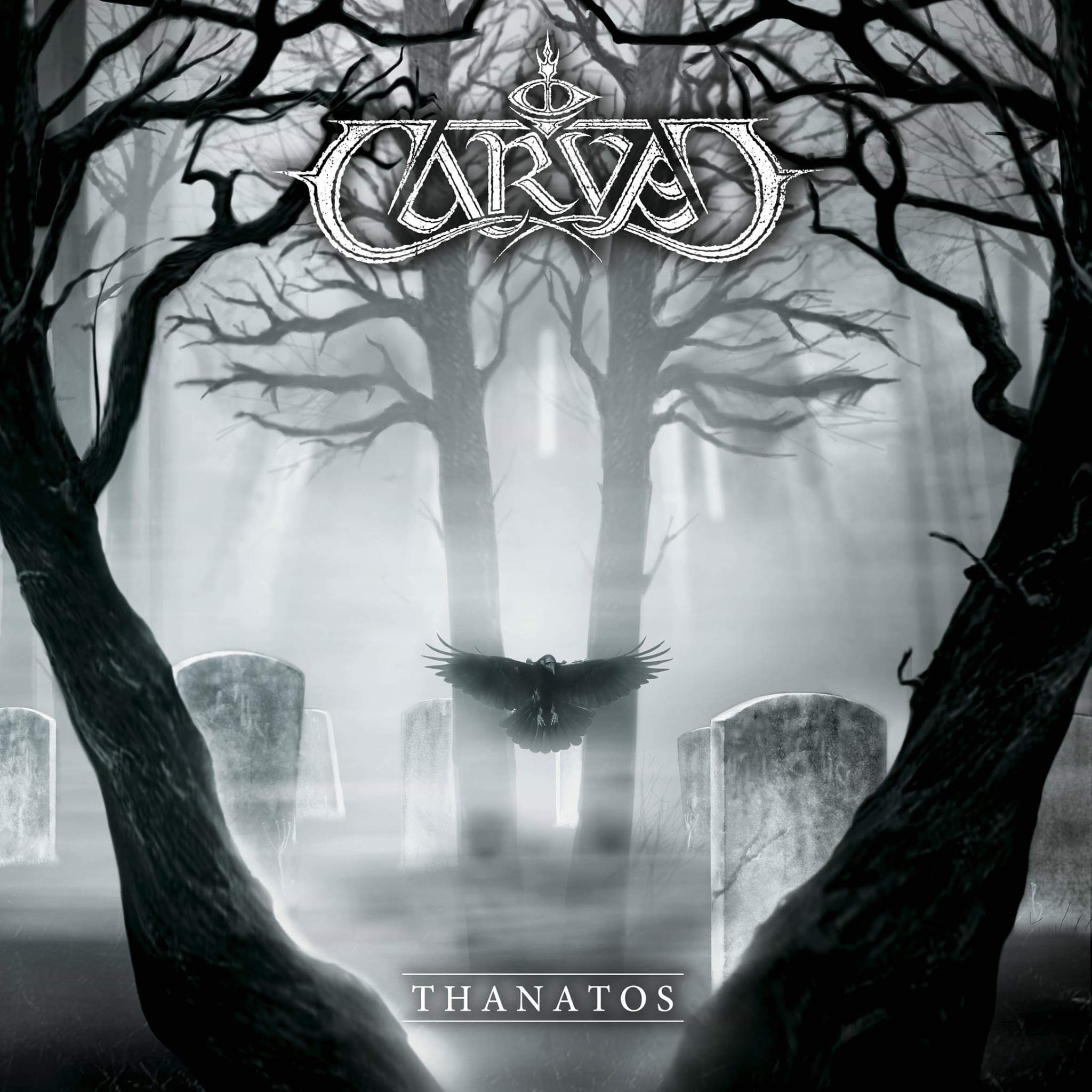 Carved - Official Website