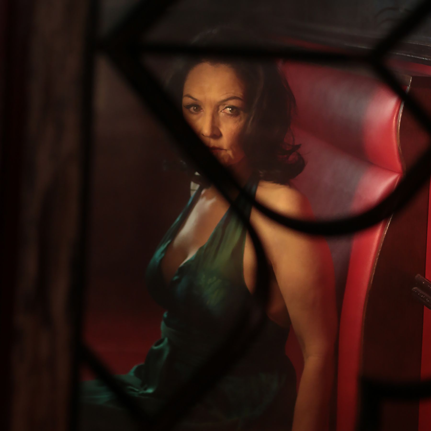 Mary Foster Conklin - Shows