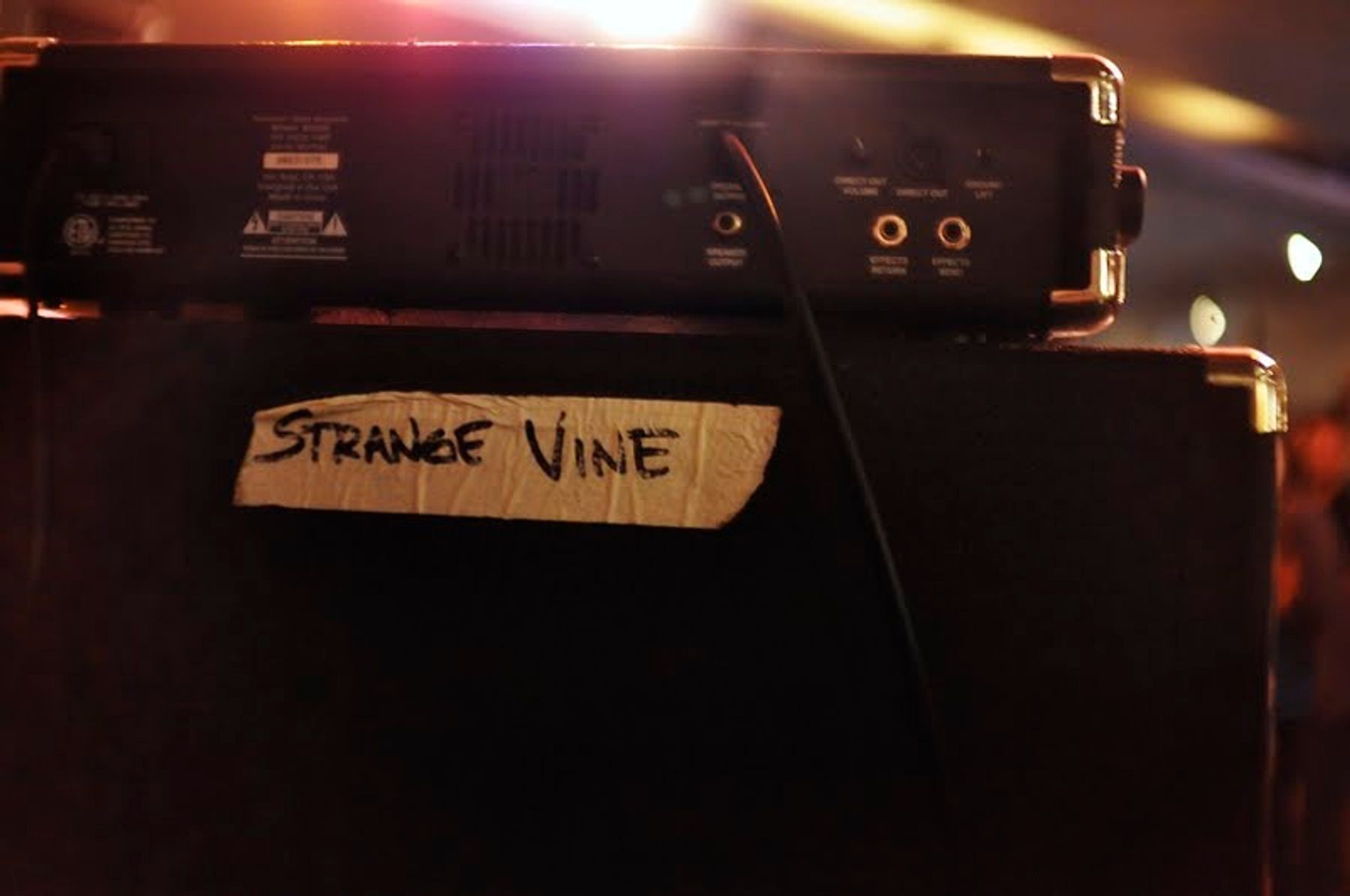 Strange Vine