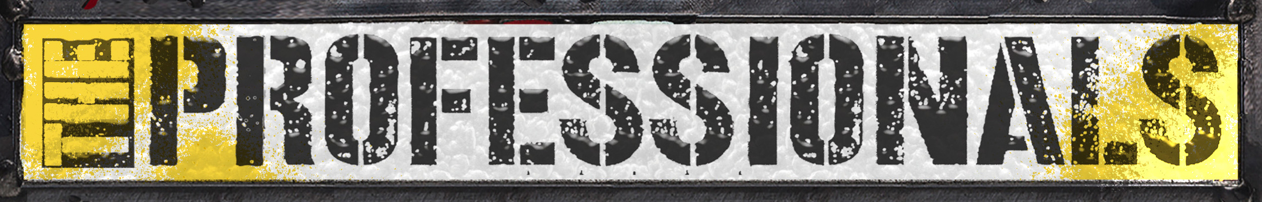 The Professionals Band