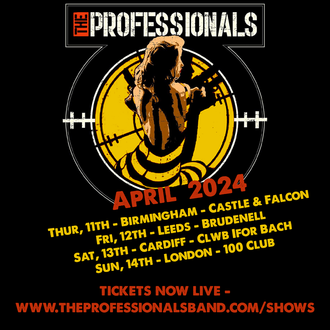 The Professionals Band