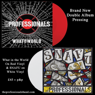 The Professionals Band