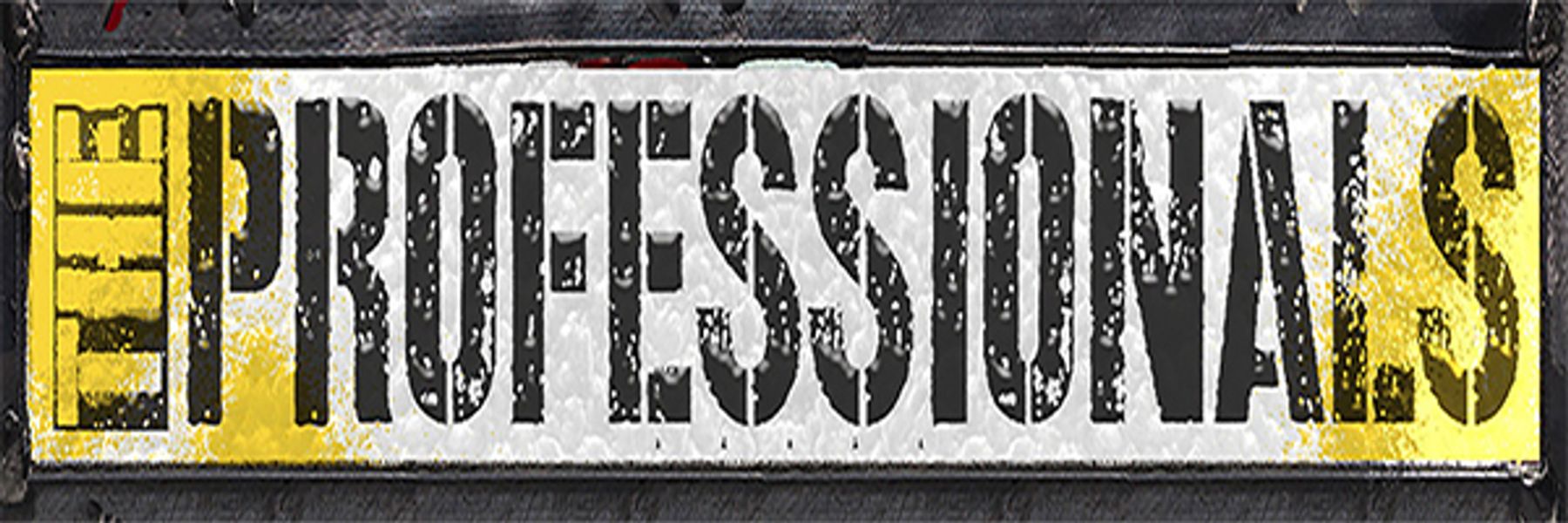 The Professionals Band