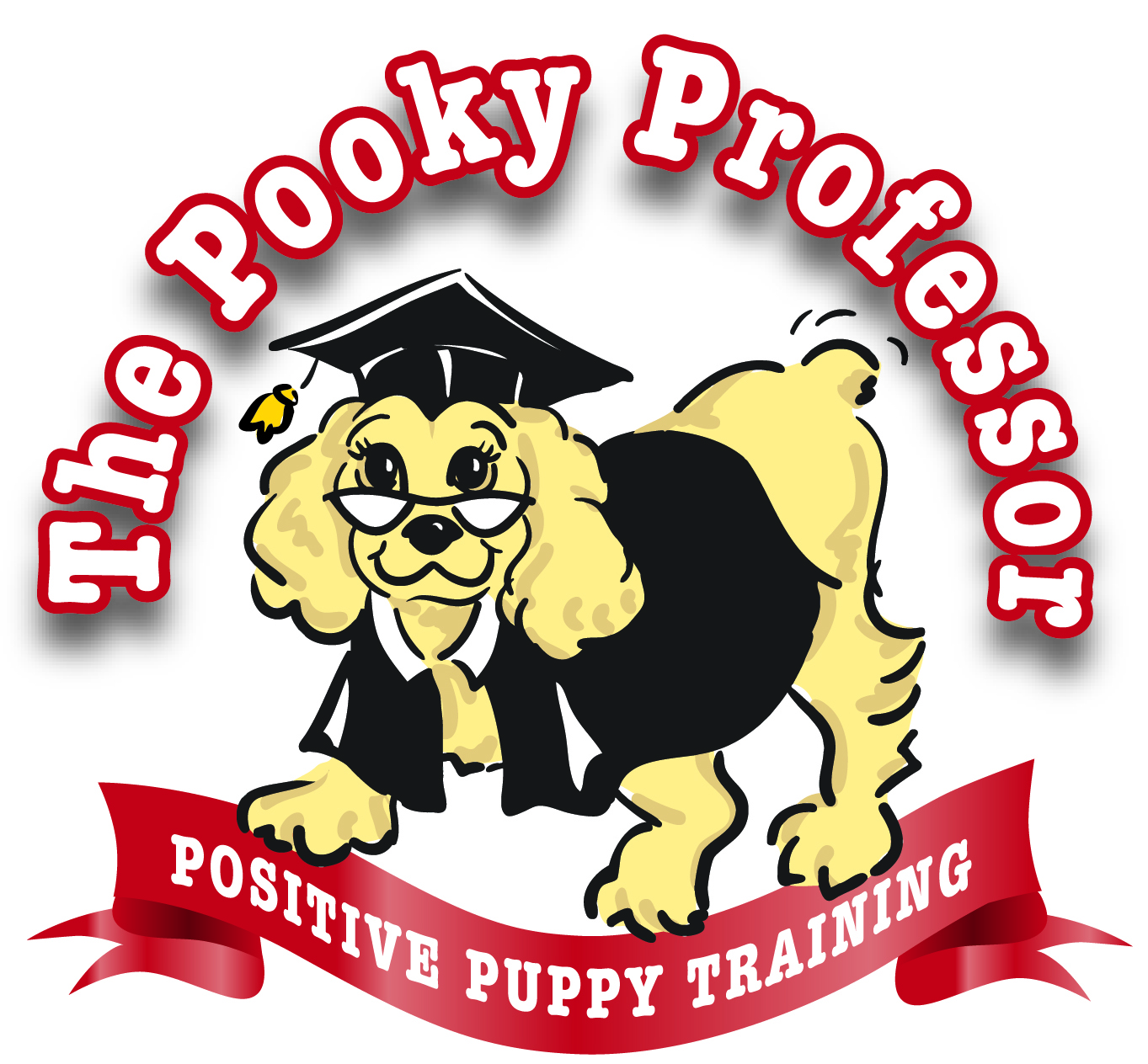 The Pooky Professor