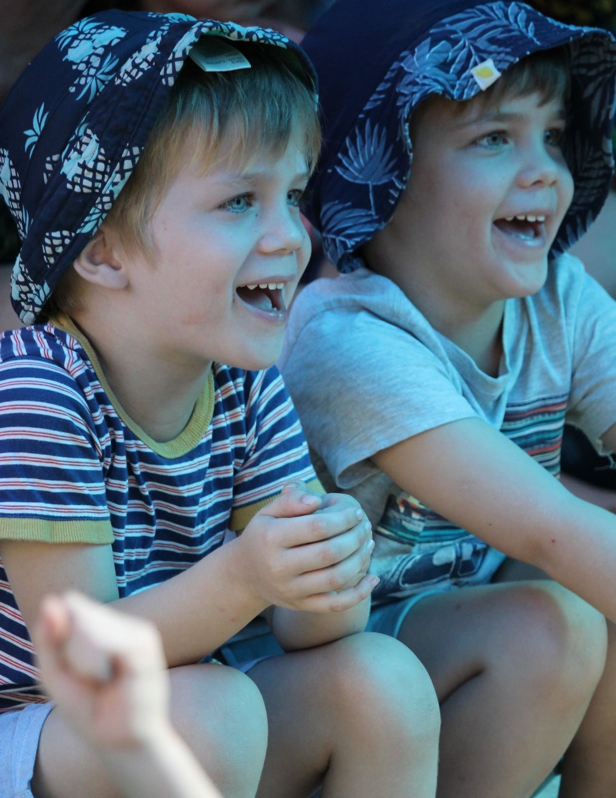 Amazing Drumming Monkeys - Performance options