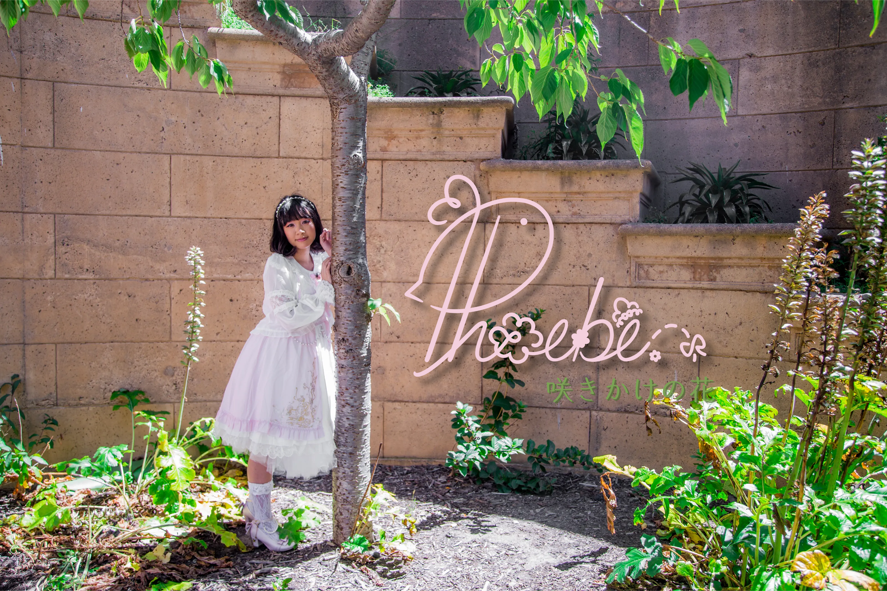 Phoebe