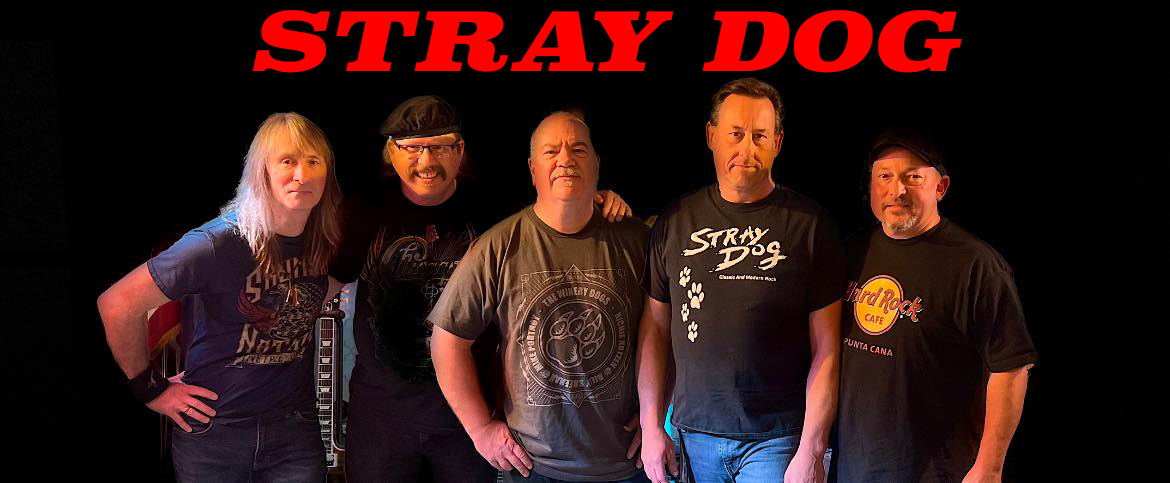 stray dog - Live Shows