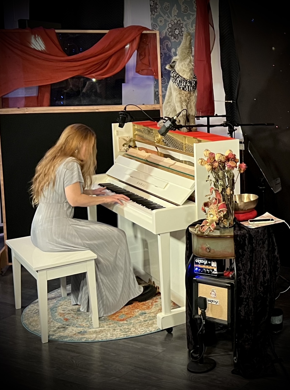 “Curiosity” Newly Released Performance Video — echoes from the 1 year ...