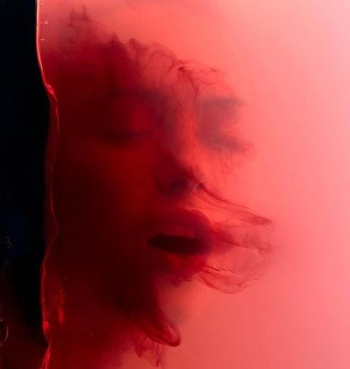 NEW & UPCOMING RELEASES! TUNNEL, VLIMMER, WILD ARROWS, CAREER DAY ...