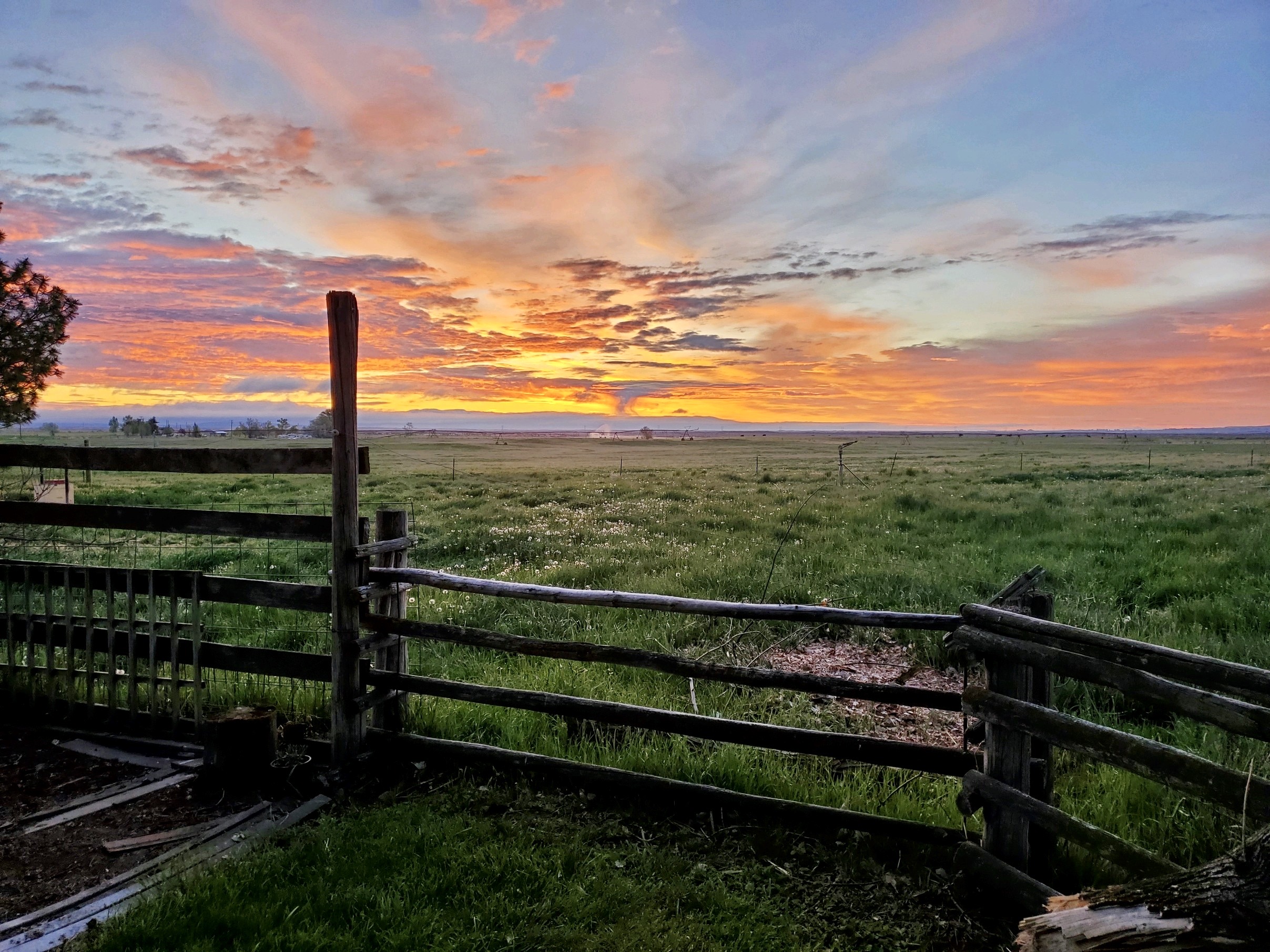 Sacred Heart Ranch of Idaho