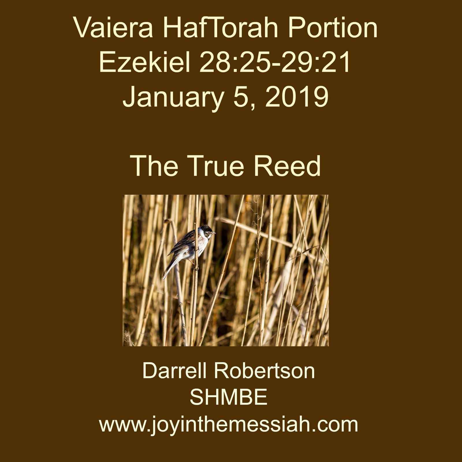 joyinthemessiah - SHEMOT HAFTORAH PORTIONS 2018-2019