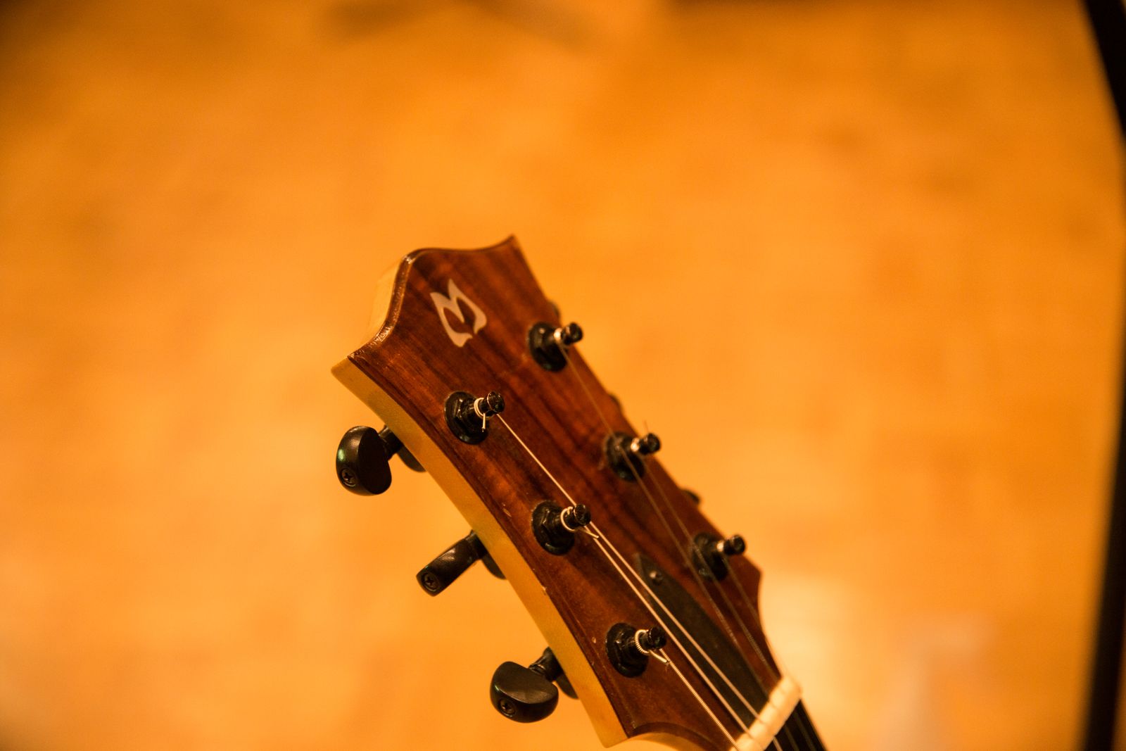 Craig Graham - Photos