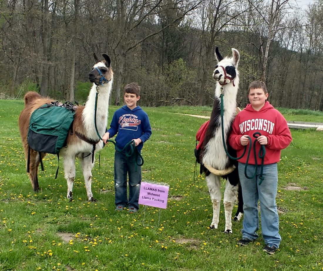 Midwest Llama Packing - Llama Packing Pictures