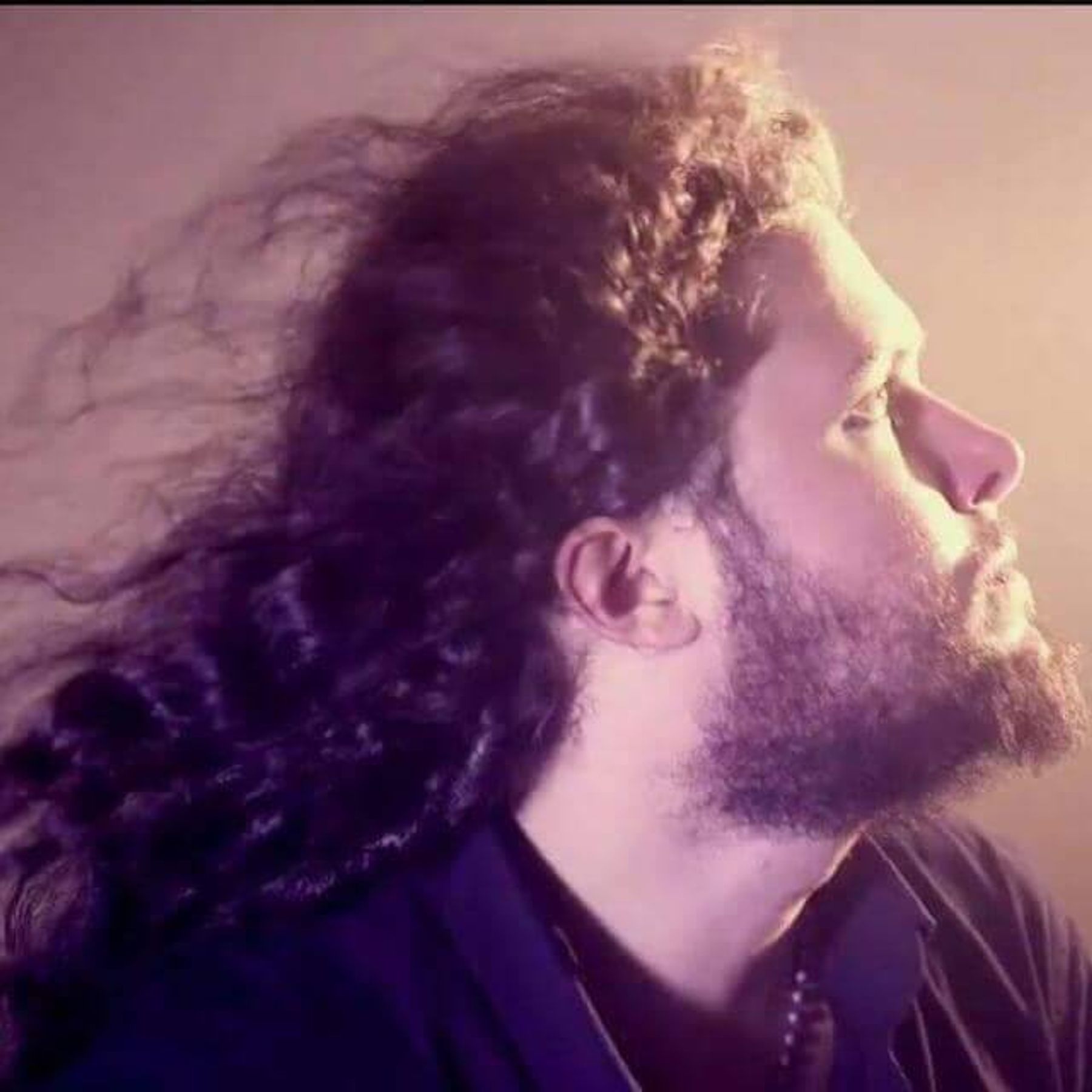Stefano Petrini