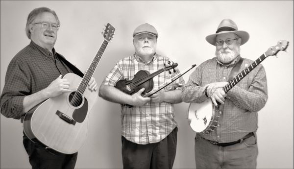 Number 9 Coal - Shows