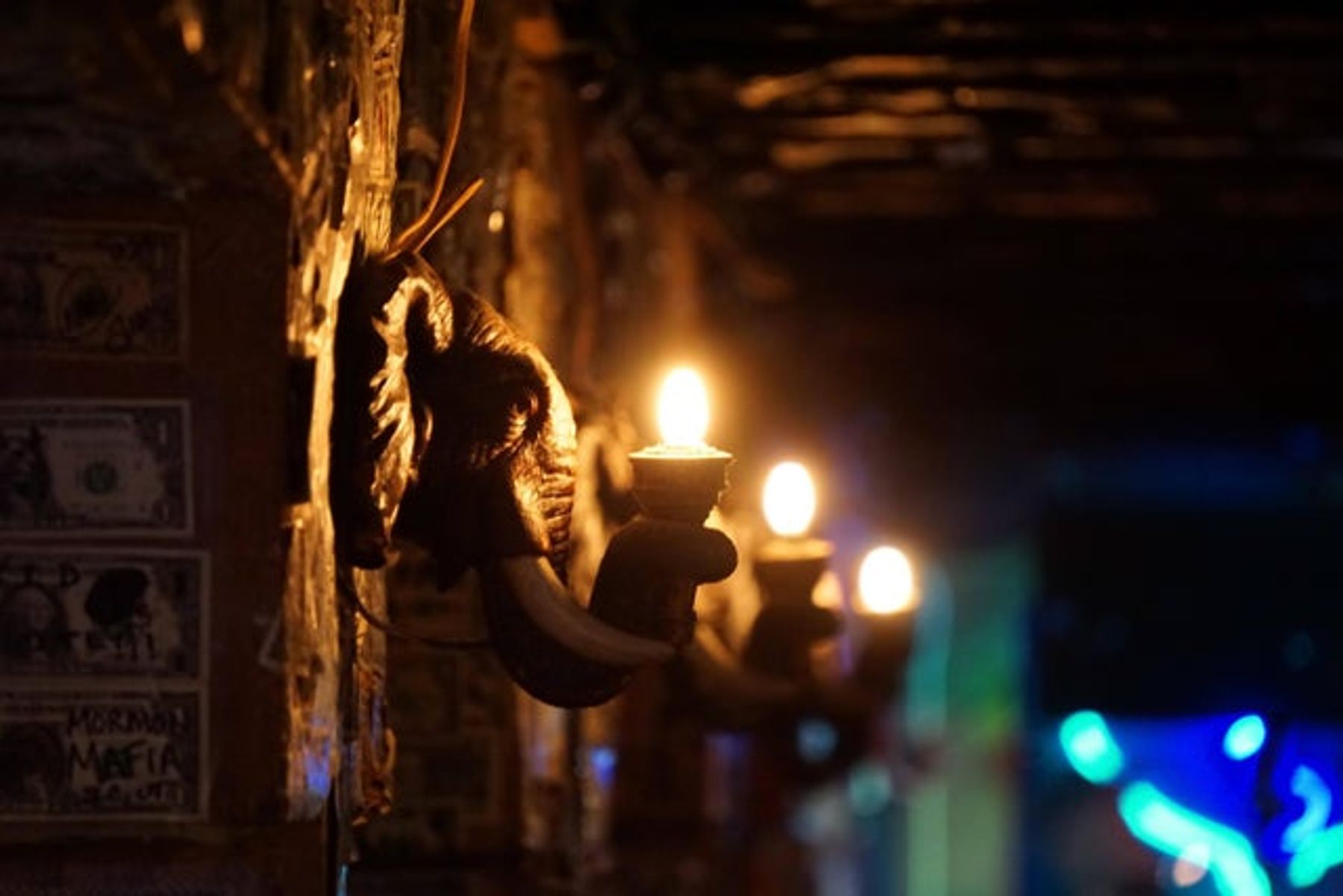 Mitch Watkins Trio @ 🐘6pm - Nov 17, 2026, 6:00PM