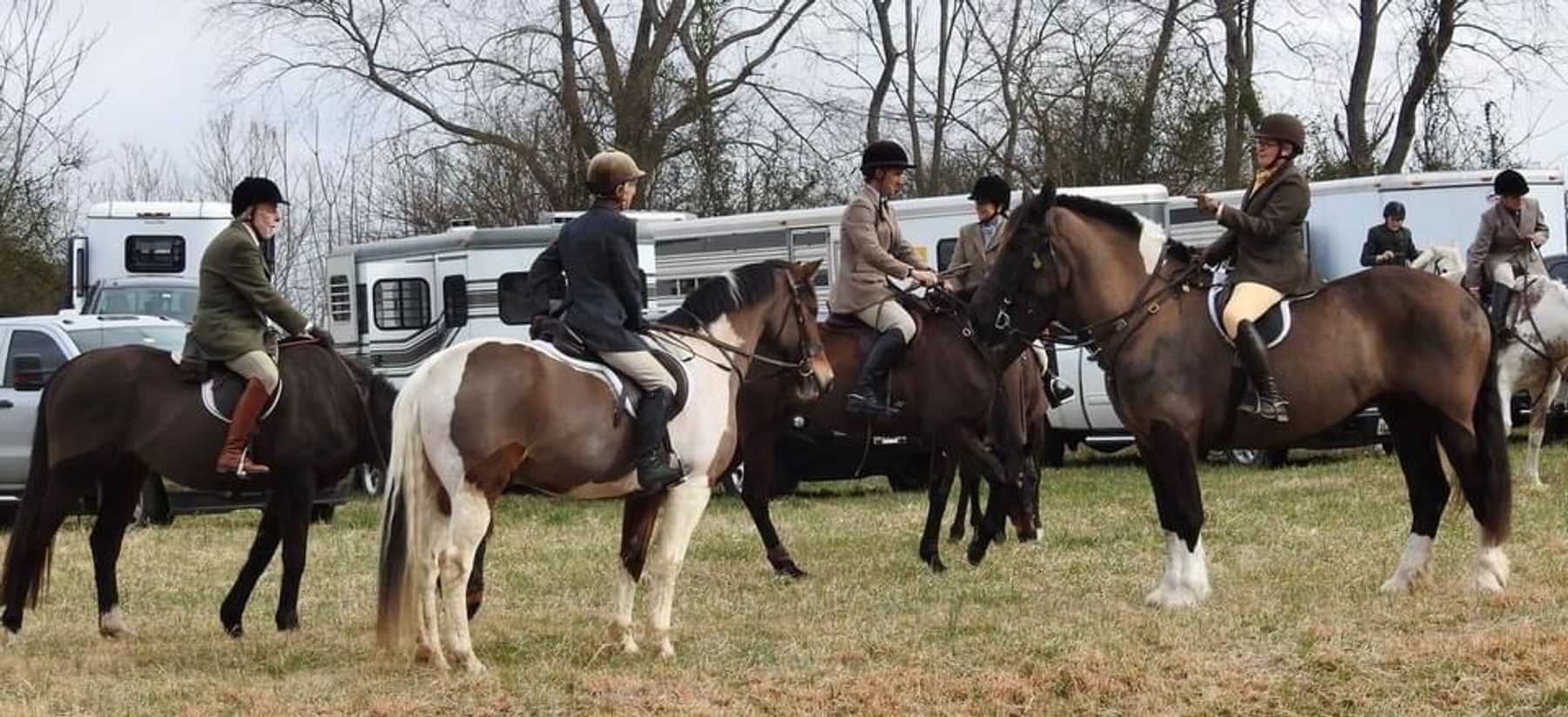 The Fox Hunting Horse - Second Flight