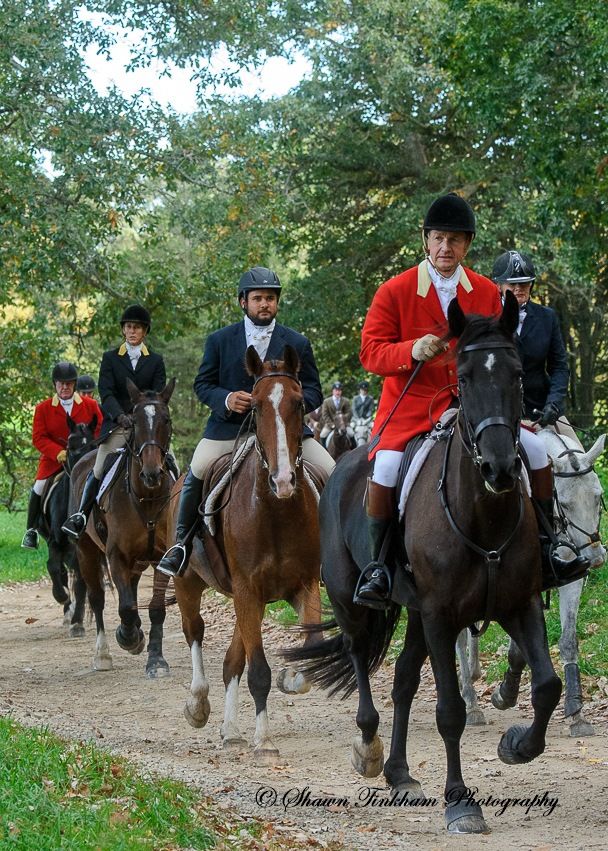 The Fox Hunting Horse - CHESTTER