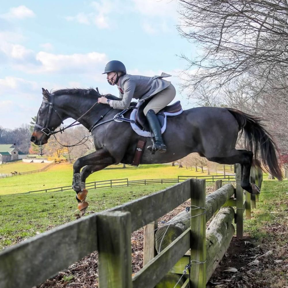 The Fox Hunting Horse - First Flight