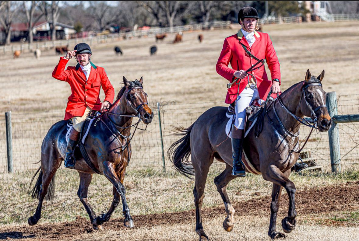 The Fox Hunting Horse - BLUE BAYOU